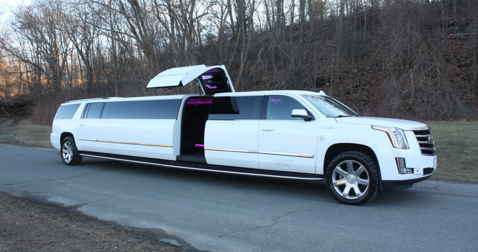 Elegant Boston Wedding Limo Service | Michael’s Limousine